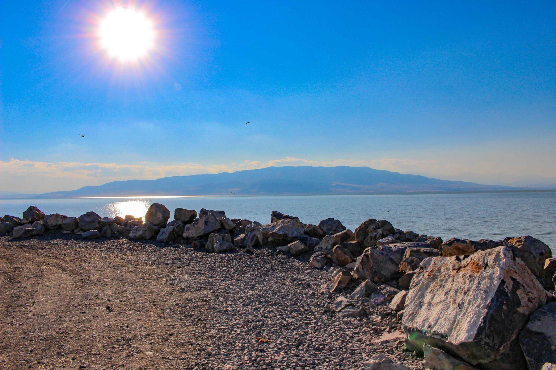 21 Awesome Things to Do in Provo in 2023: An Insider's Guide | Pedal Provo